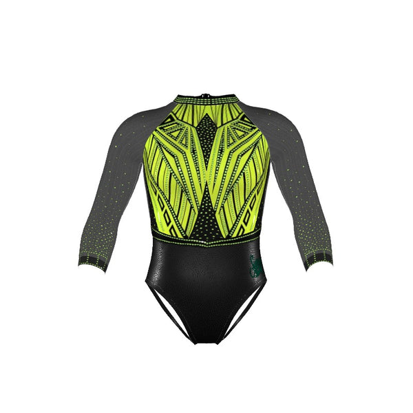 Simone Biles Exceptional Long Sleeve Leotard – GK Elite Sportswear